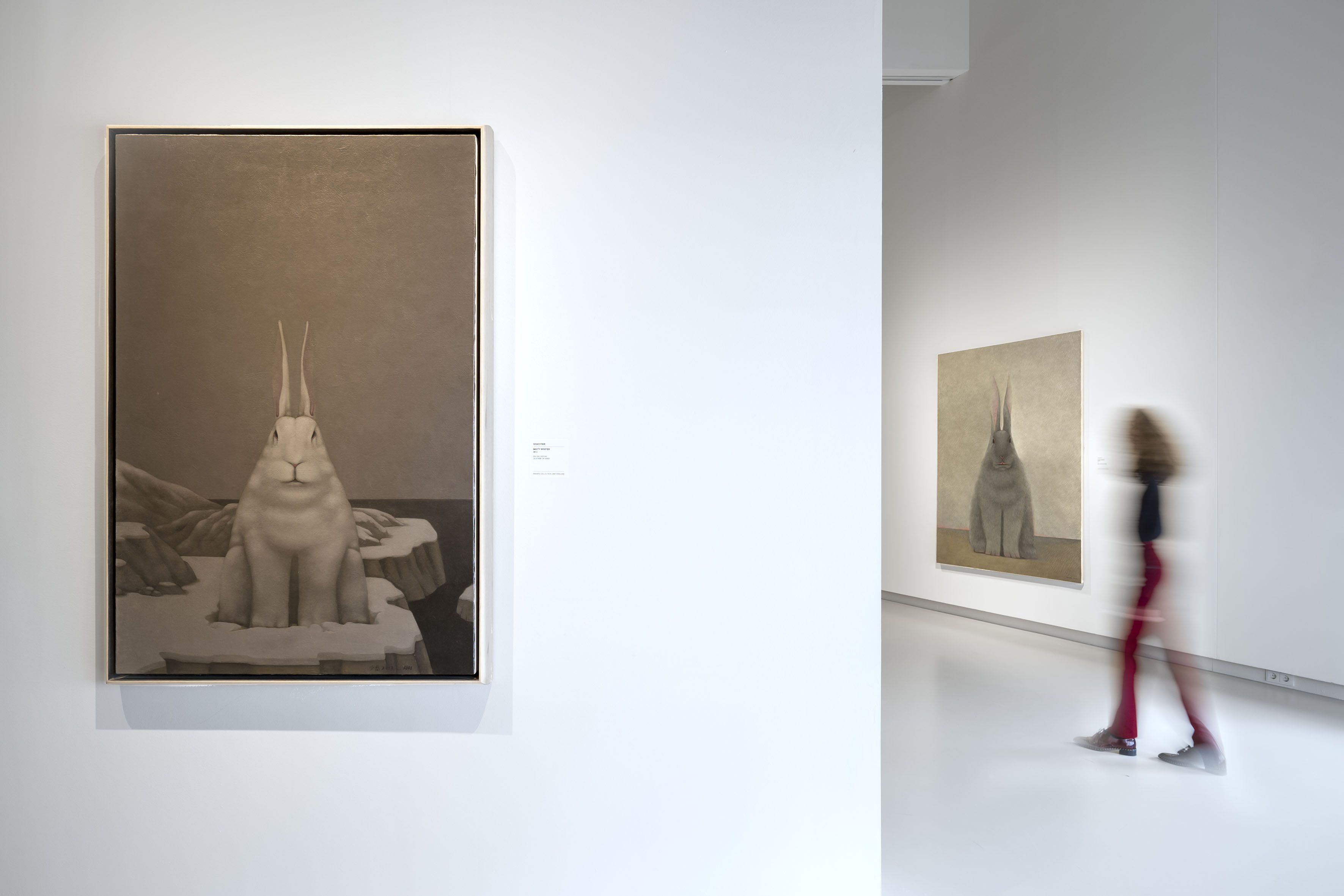 Shao Fan | Het Noordbrabants Museum